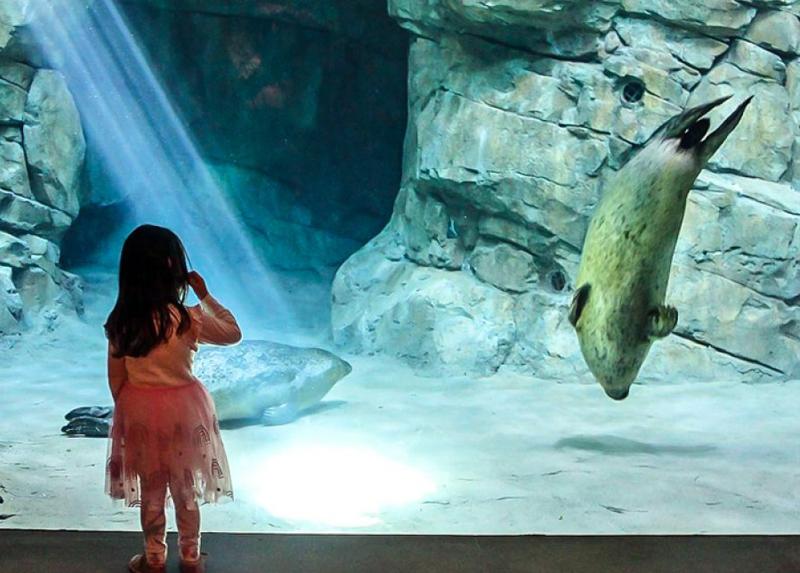 14 Things to do in Norwalk Over Winter Break - Visit Norwalk